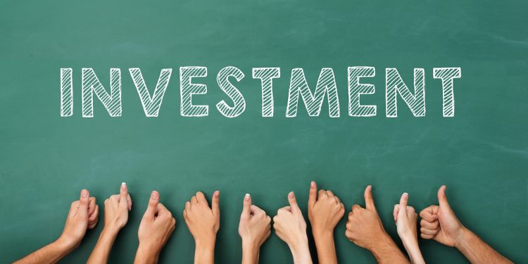 Investment 101: Understanding Various Investment Types | E-Dirt